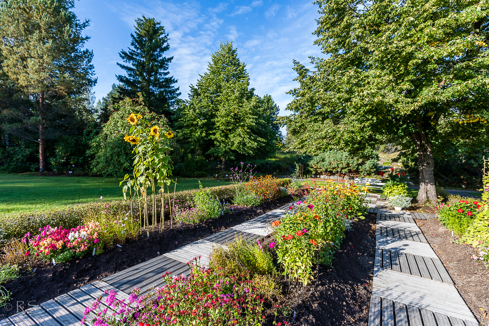 puutarha_ – Tuulestatemmattua