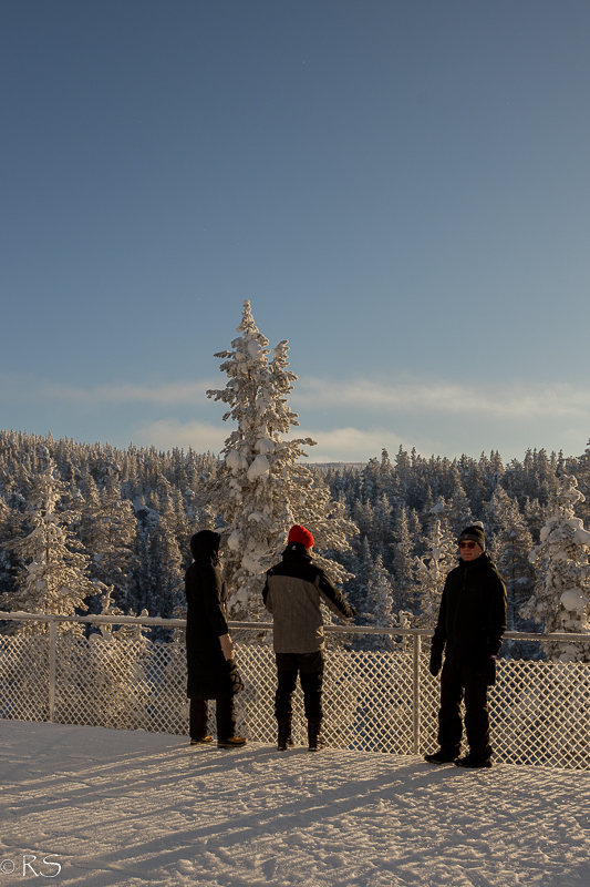 helmikuu-2 – Tuulestatemmattua